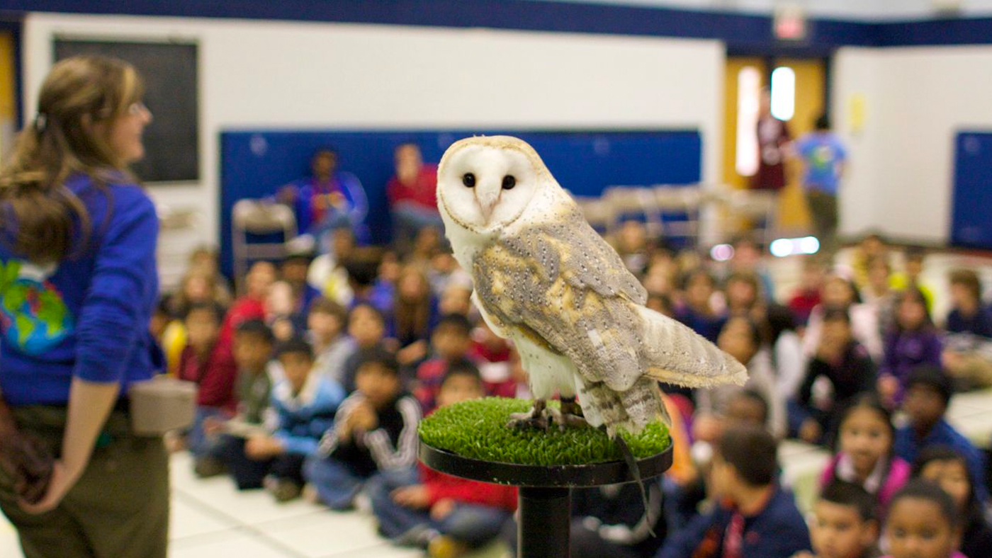 Teck and Earth Rangers Partner to Support Wildlife Conservation