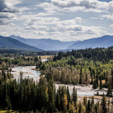 Sustainability Report and Disclosure Portal