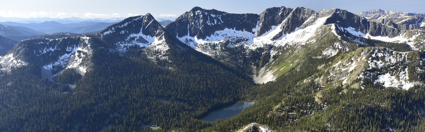 Biodiversity and Closure