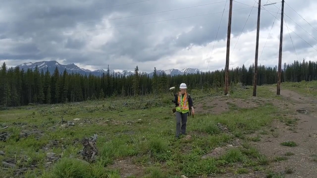 Teck Student Experiences